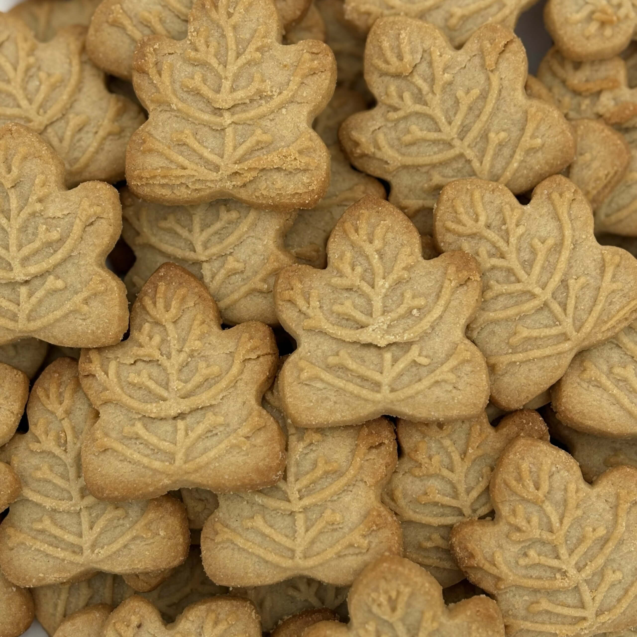 Biscuits feuille d'érable vrac - Delicouki